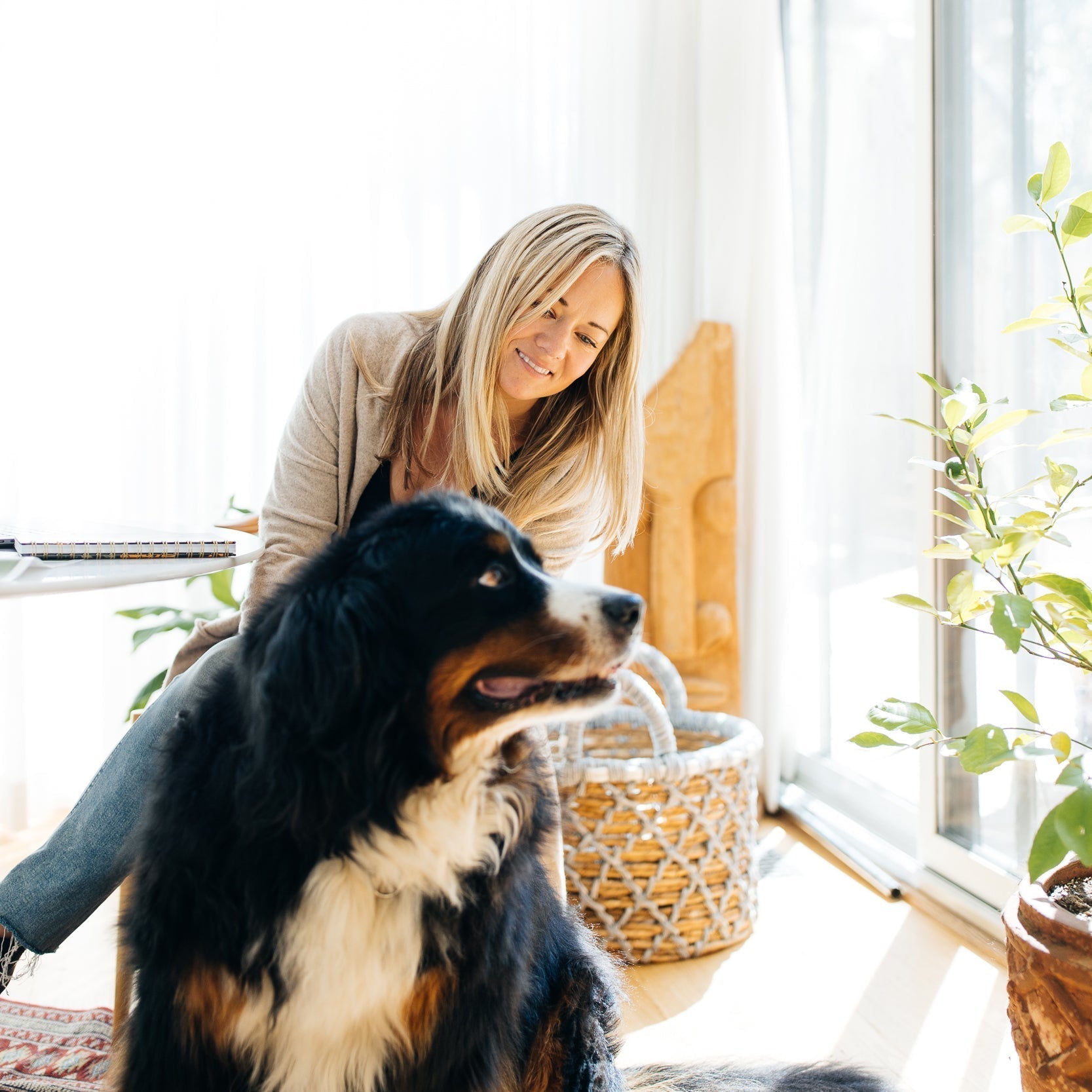 Why The Bare Home Became a B Corp: Our Commitment to Continuous Improv